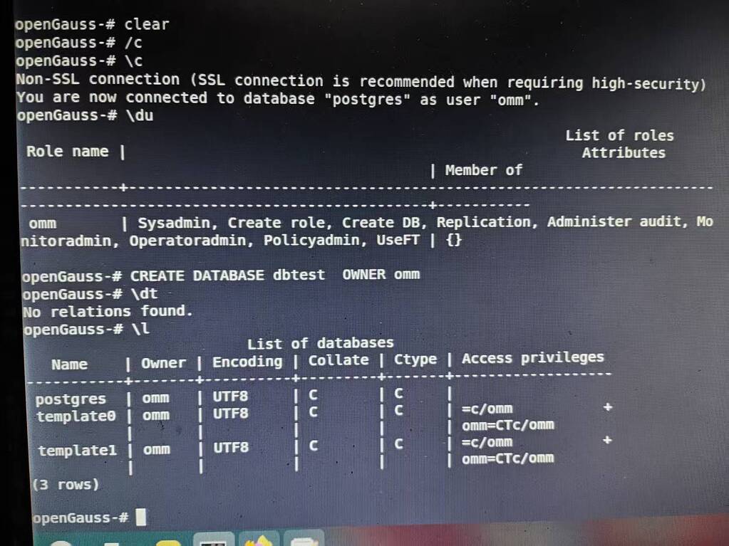 openEuler24.03安装了 openGauss6.0.2，无法生成用户，数据库和数据表 - 问题求助 - openGauss 论坛